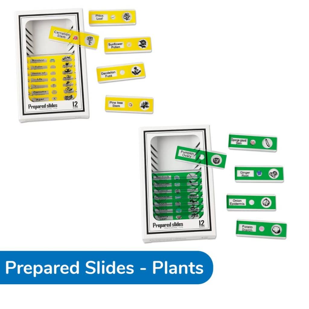 Buy Digital Microscope Kit, BioMedical Education Kit Classroom/Atl Labs